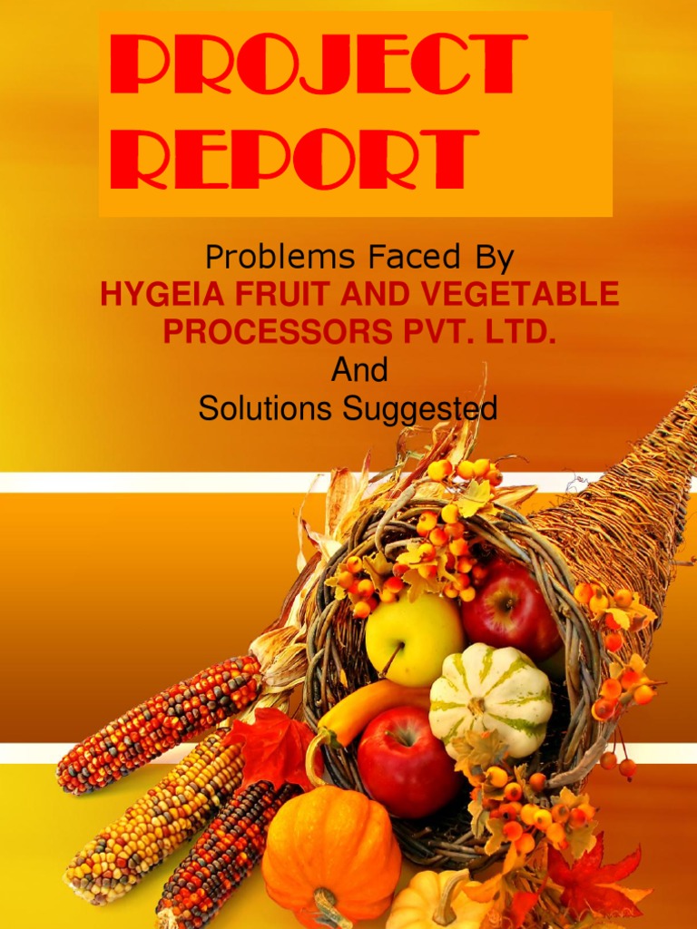 Project Report On A SMALL SCALE INDUSTRY | PDF | Warehouse | Cider