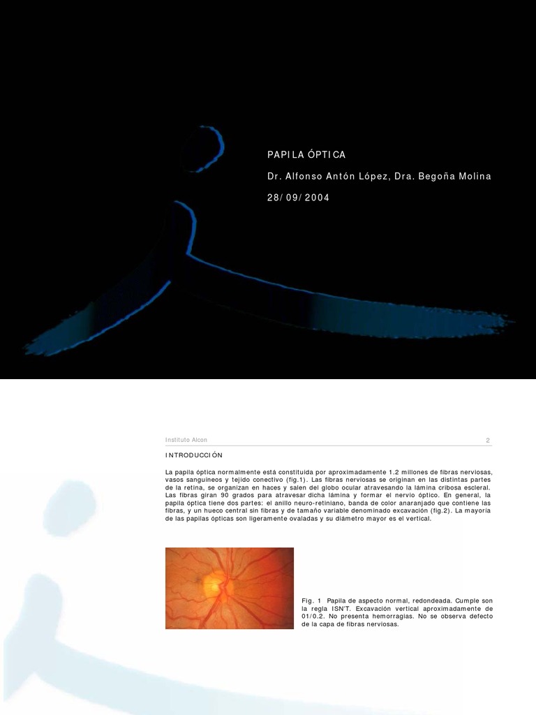 Evaluación de la Papila Óptica Normal | PDF | Visión | Sistema visual