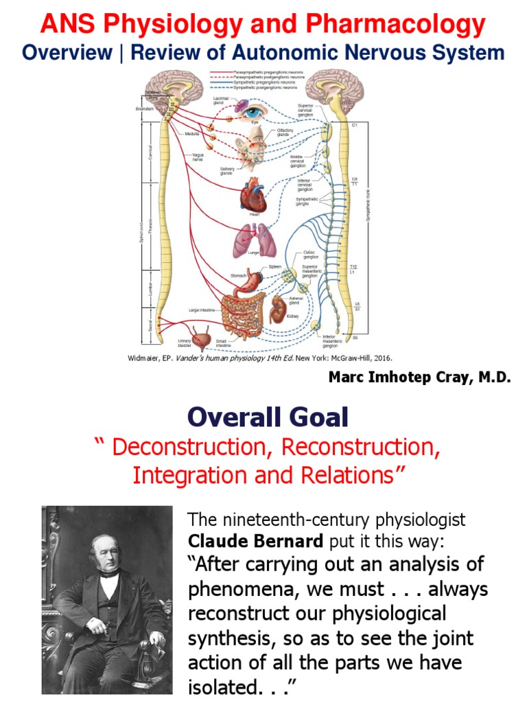 ANS Pharmacology - Introduction - Review of The Autonomic Nervous ...