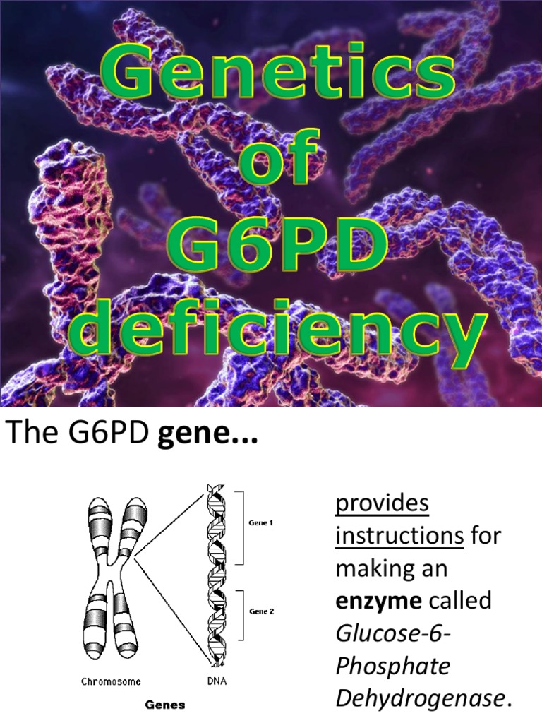 G6PD Genetics Presentation | PDF | Wellness | Science & Mathematics