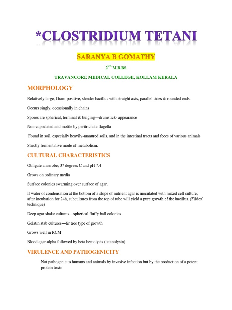 Clostridium Tetani | PDF | Immunology | Medicine