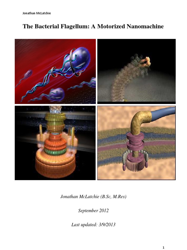 The Bacterial Flagellum | PDF | Protein Kinase | Chemotaxis