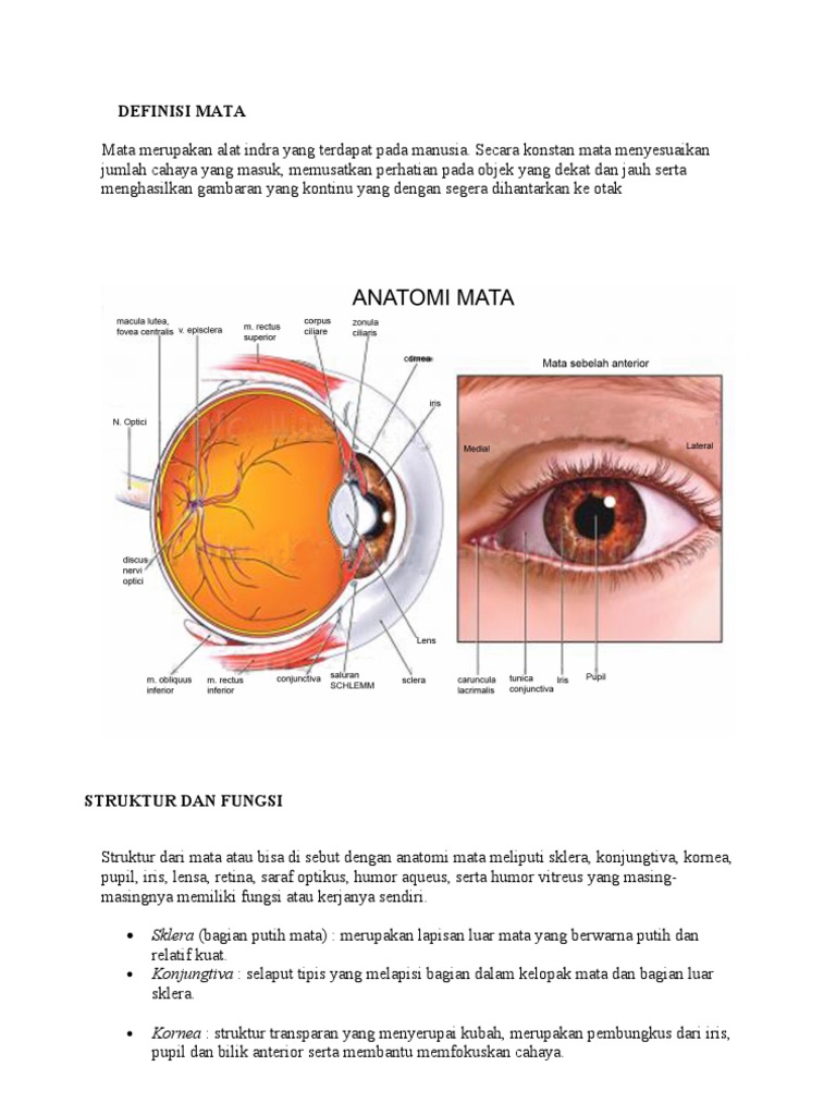 Definisi Mata | PDF