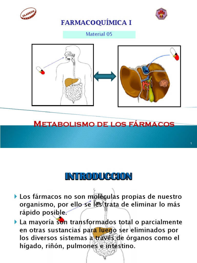 Metabolismo de Los Farmacos | PDF | Citocromo P450 | Biotransformación