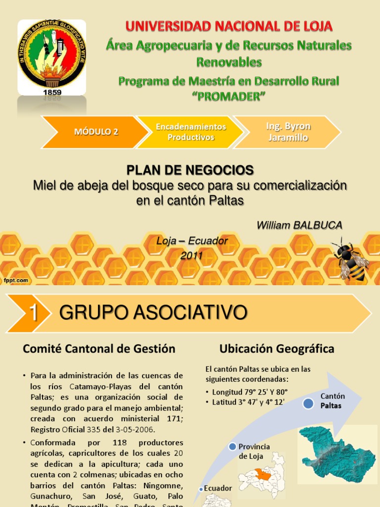 Plan de Negocios Miel de Abeja | PDF | Miel | Apicultura