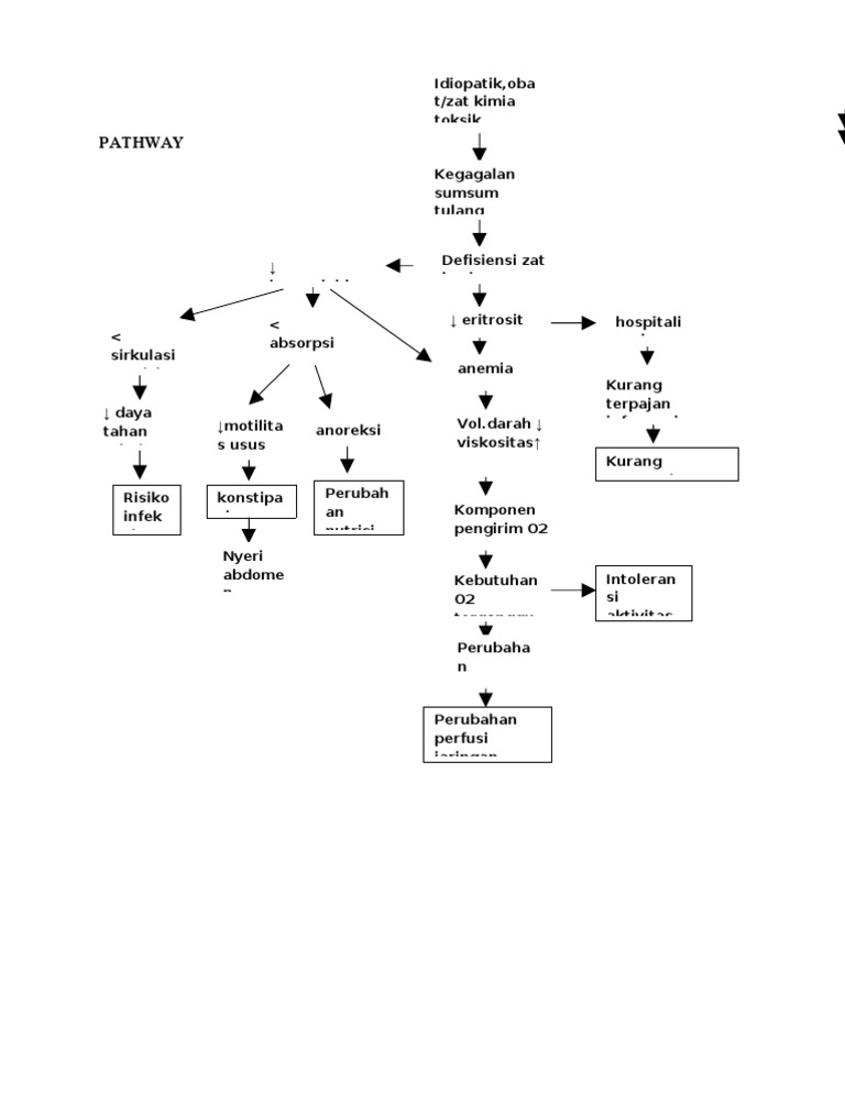 Pathway Anemia