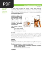 Anatomía de la Escápula y Cintura Escapular | PDF