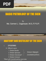 Hanifin and Rajka Diagnostic Criteria For Atopic Dermatitis | PDF ...