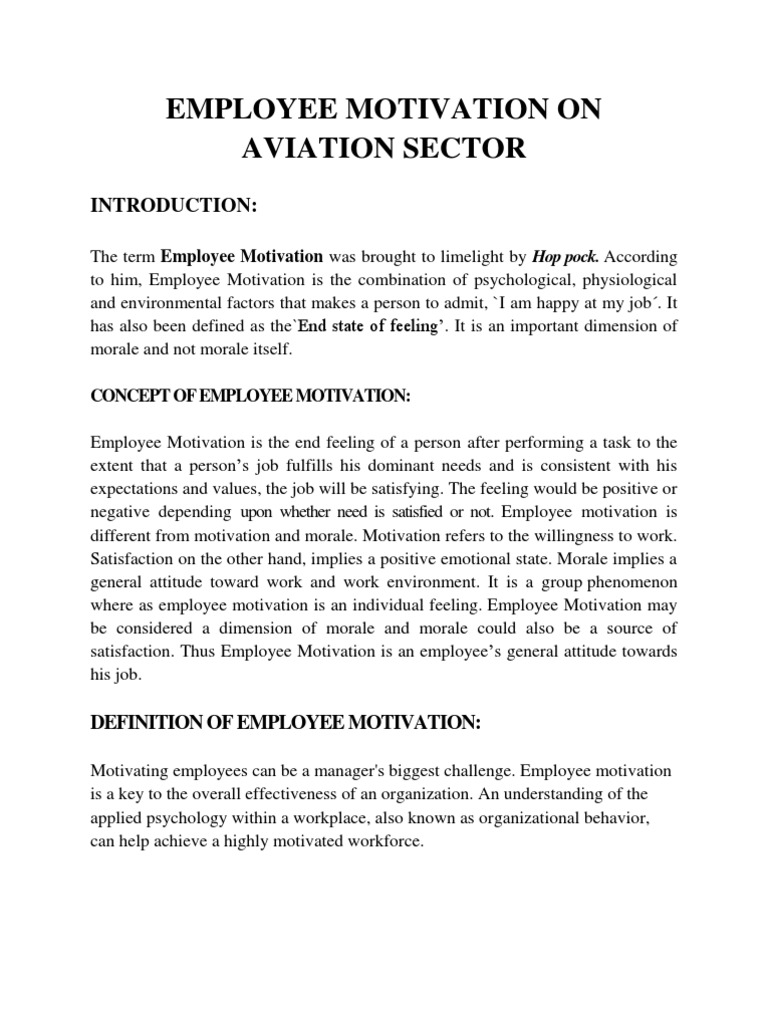 Employee Motivation On Aviation Sector | PDF | Motivation | Motivational