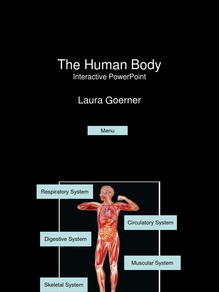 Interactive Powerpoint | PDF | Respiratory System | Circulatory System