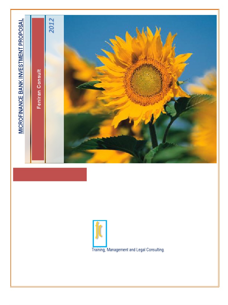 Microfinance Bank Proposal Ajiboye | PDF | Microfinance | Dividend