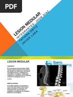 Marcha de Trendelenburg: Causas y Tratamiento | PDF | Nalgas | Rodilla