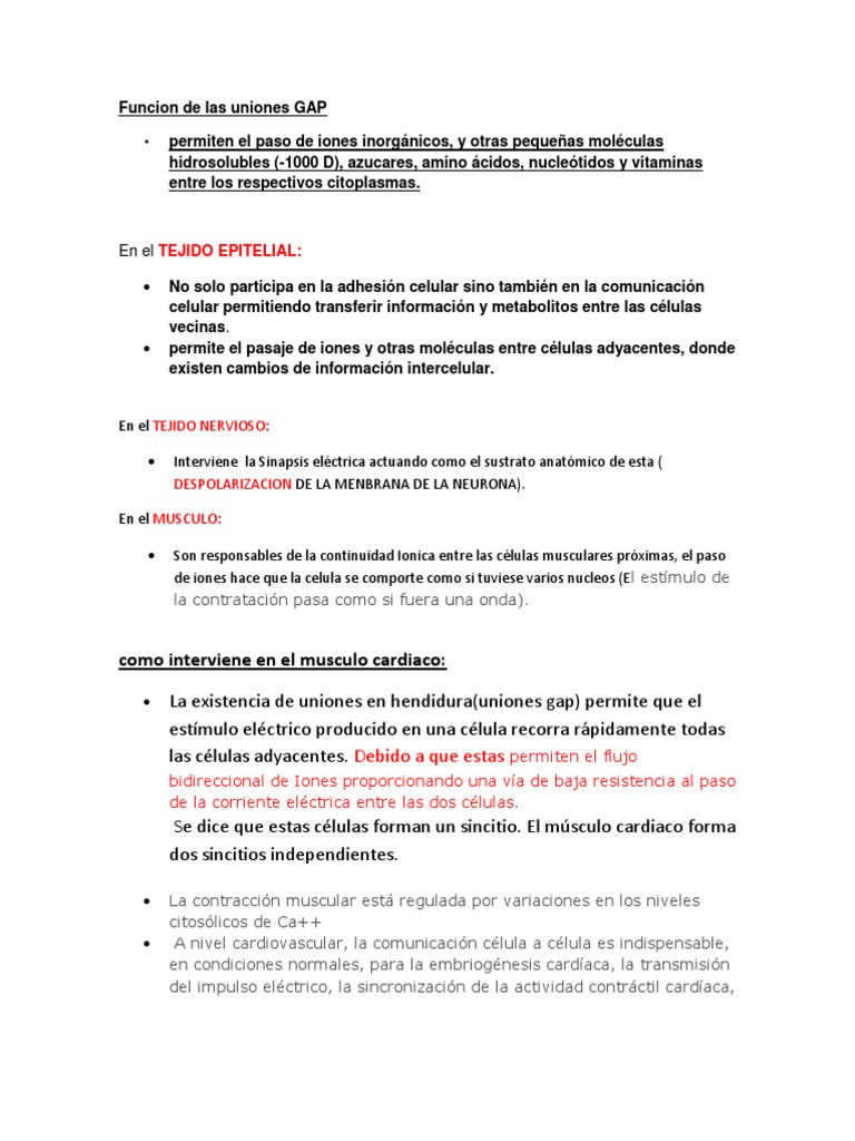 Funcion de Las Uniones GAP | PDF