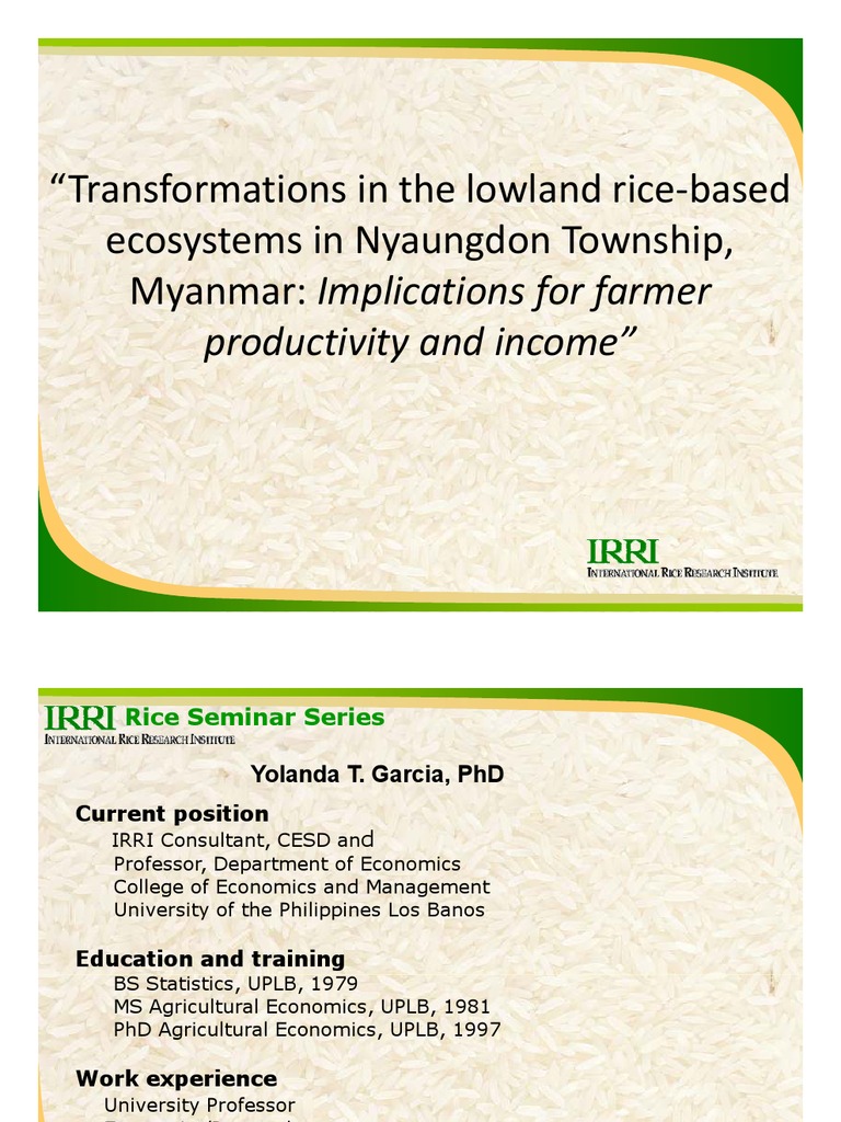 Transformations in The Lowland Rice-Based Ecosystems in Nyaungdon ...