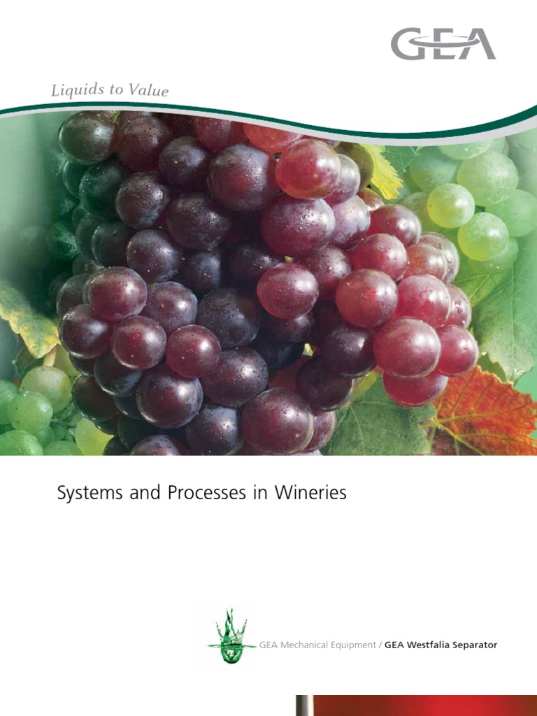 GEA WS Wine-Brochure | PDF | Winemaking | Champagne