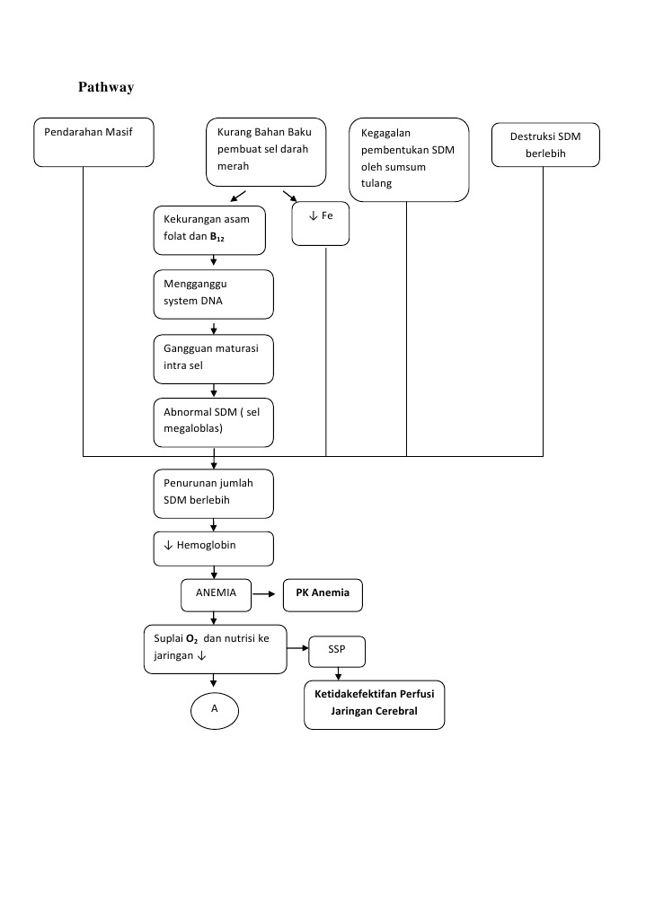 Pathway Anemia | PDF
