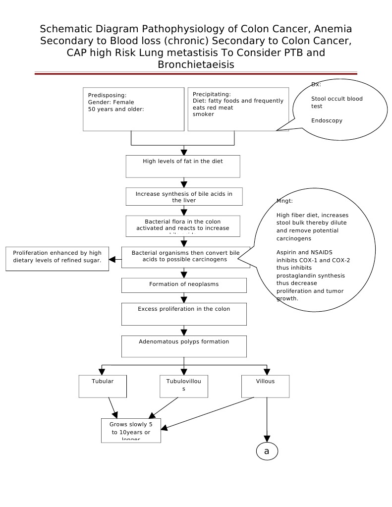Colon Cancer Pathophysiology Flowchart | PDF | Colorectal Cancer ...