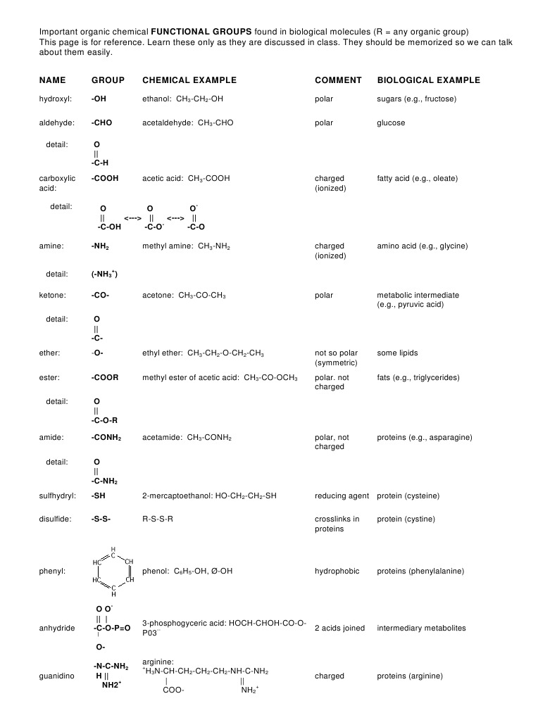 Functional Groups. | PDF
