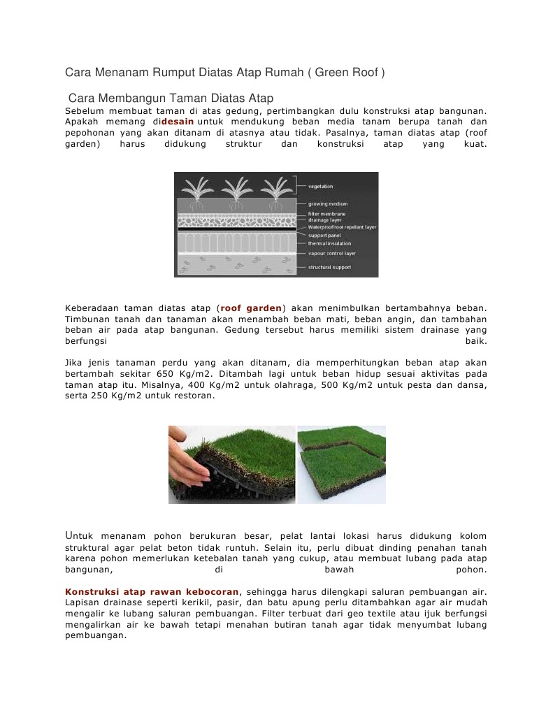 Cara Menanam Rumput Diatas Atap Rumah | PDF | Sains & Matematika