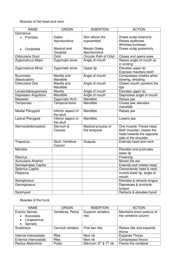Muscles (Origin, Insertion and Action) | PDF | Pelvis | Human Leg