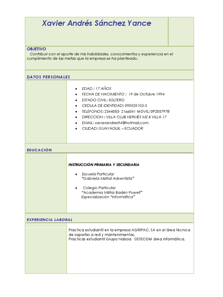 Curriculum de Xavier Andres | PDF | Arte | Computadoras