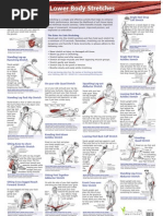 RCAF XBX and 5BX Exercise Plans | PDF
