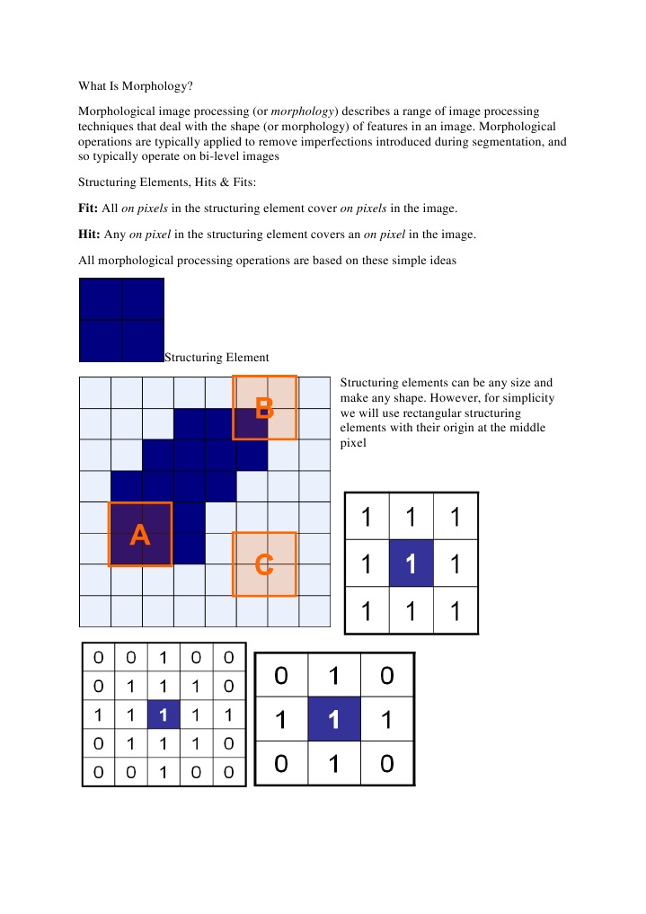 What Is Morphology | PDF | Computer Vision | Optics