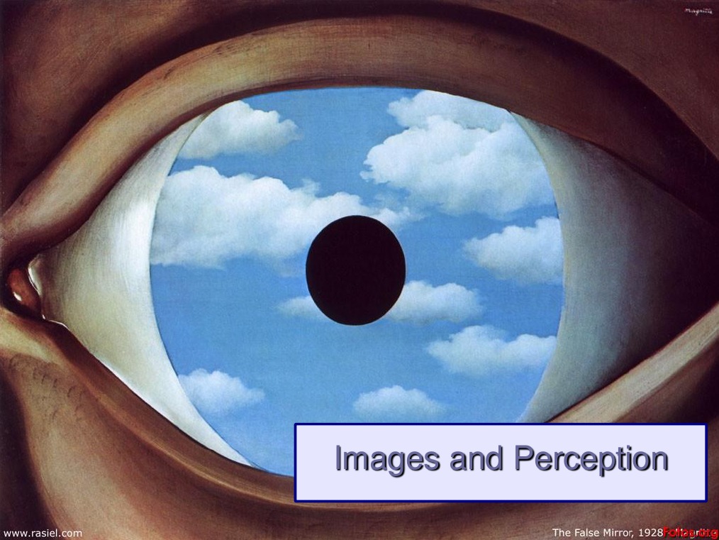Images and Perception | PDF