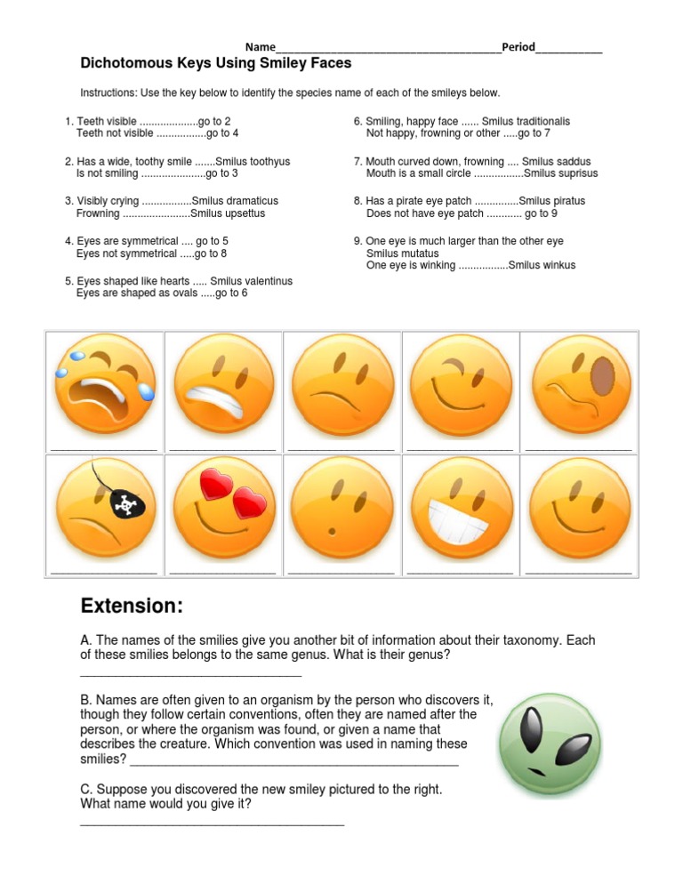 Dichotomous Key Worksheet