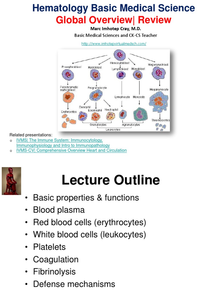 IVMS Hematology-Blood Physiology and Pathology Overview - Review | PDF ...