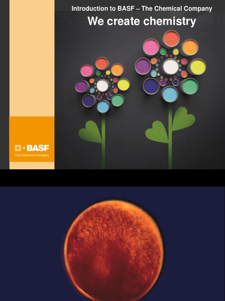 Presentation Introduction To BASF Politeknik Unsri 3sept2012 | PDF ...