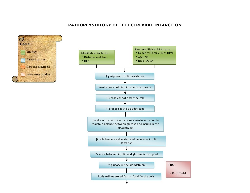 Pathophysiology of Stroke | PDF | Angiotensin | Heart