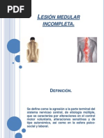 Tracto Rubroespinal | PDF | Cerebro | Neuroanatomía