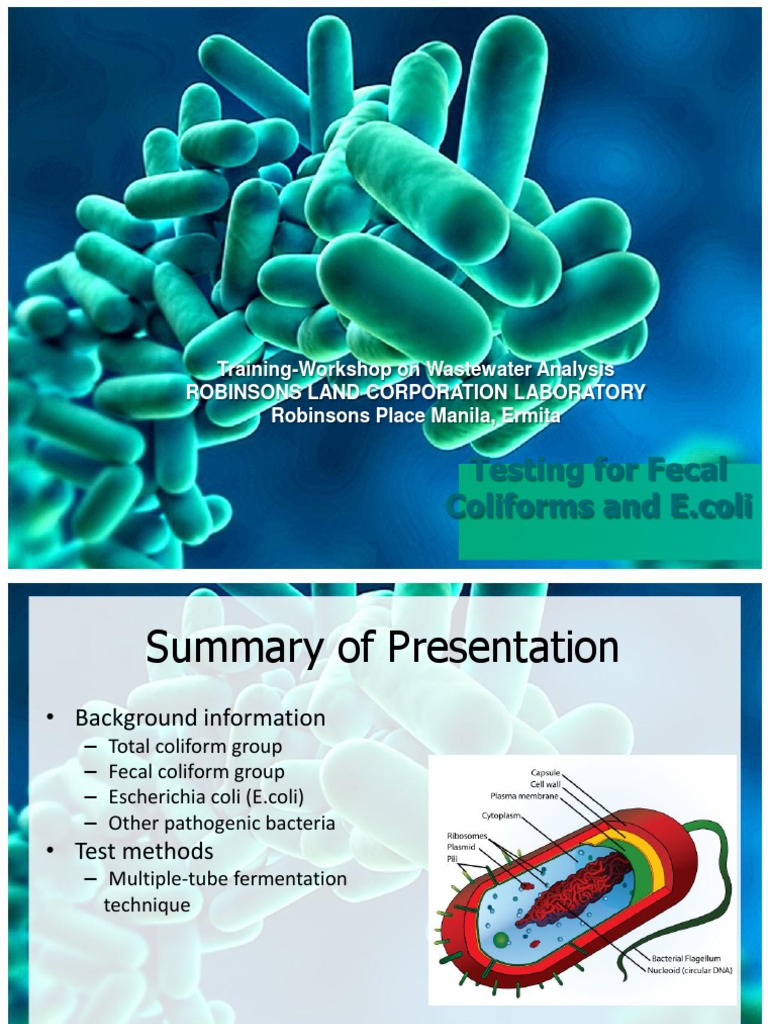 Testing for Fecal Coliforms and E.coli