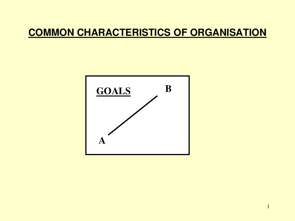 Common Characteristics of Organisation | PDF | Strategic Management ...