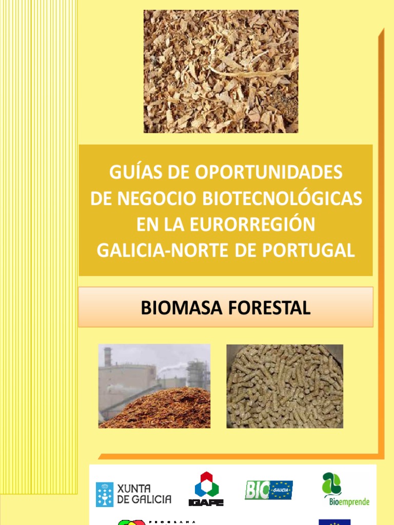Guia Biomasa Forestal | PDF | Biotecnología | Cadena de valor
