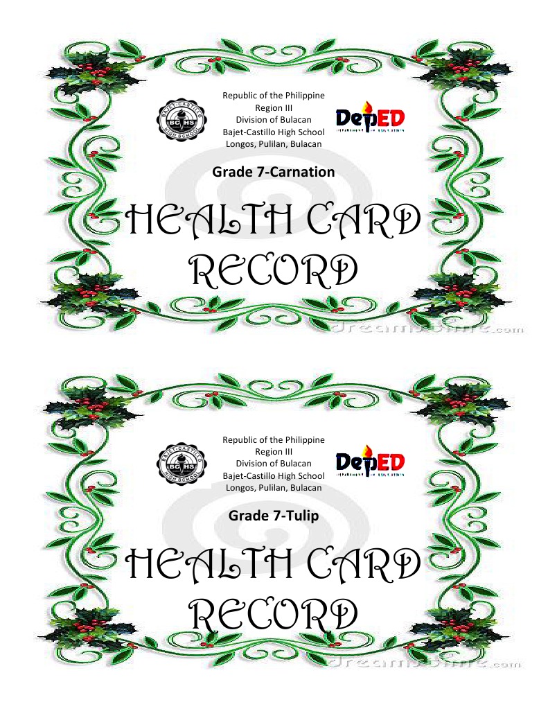 Health Card Record: Grade 7-Carnation | PDF | Lifestyle