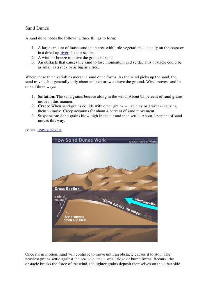 Sand Dunes | PDF | Dune | Wound
