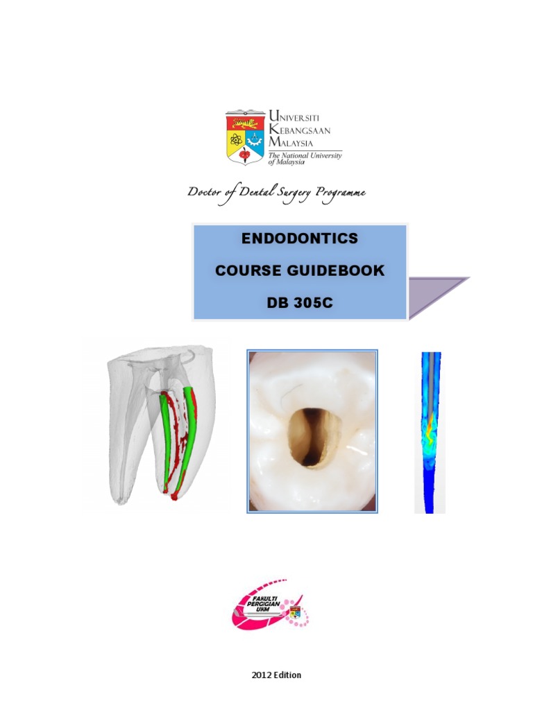 Endodontic Course Guidebook 2012 Year 3 | PDF | Medical Diagnosis ...