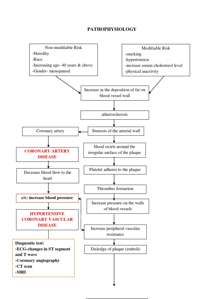 HCVD Cad Cva Infarction | PDF | Atheroma | Coronary Artery Disease