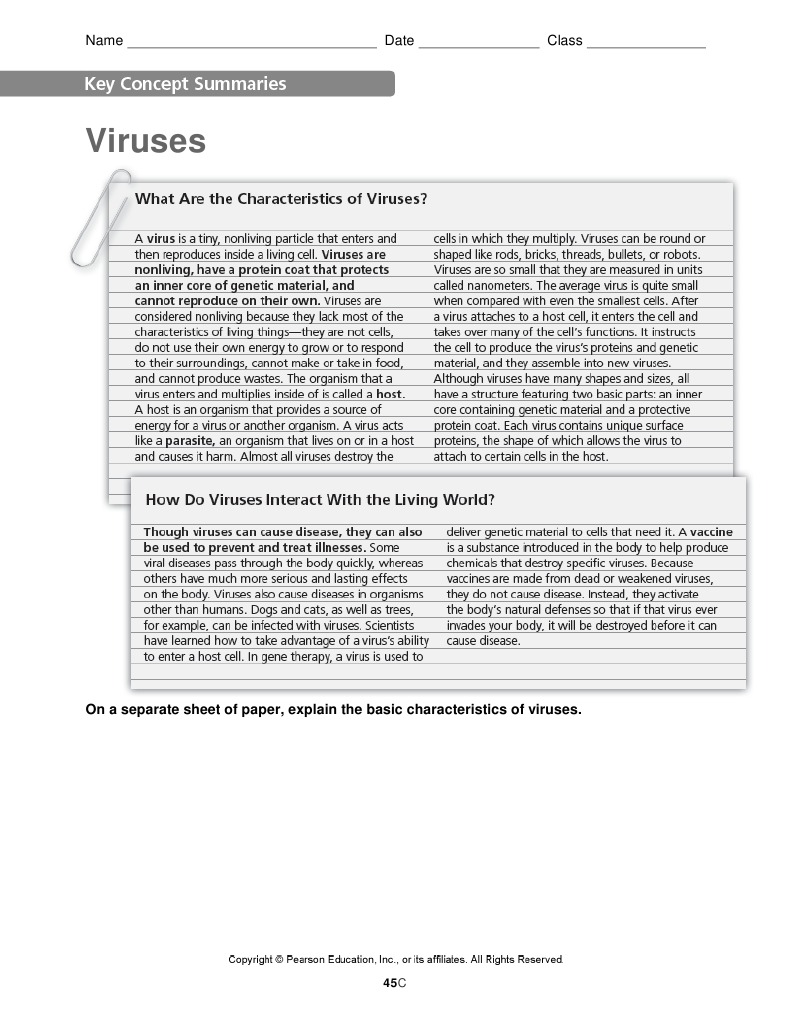 Characteristics of Viruses, Bacteria, and Fungi | PDF | Taxonomy ...