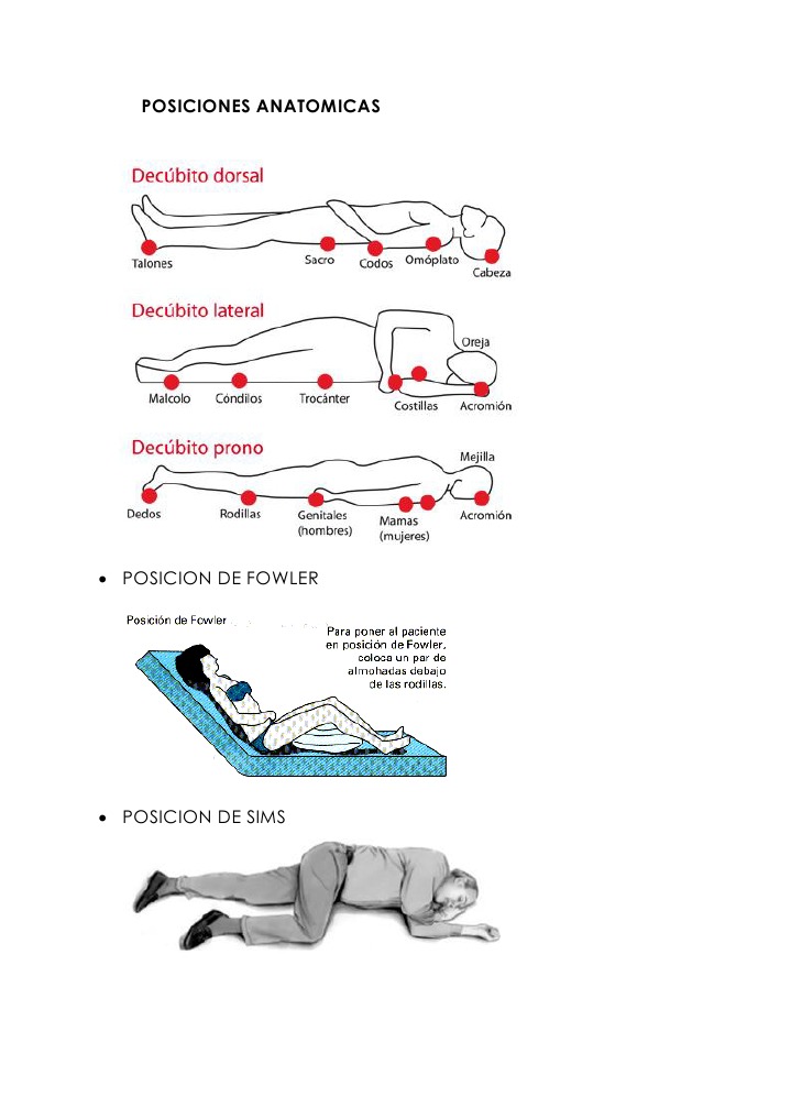 POSICIONES ANATOMICAS