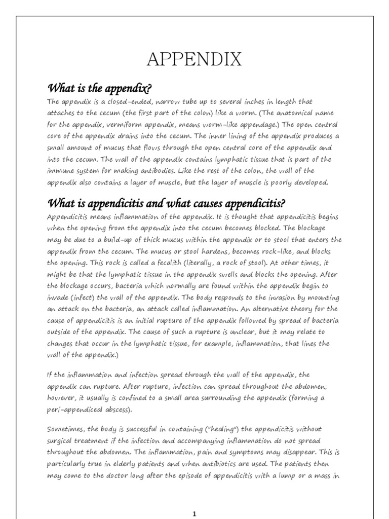 Appendix: What Is The Appendix? | PDF | Surgery | Gastroenterology