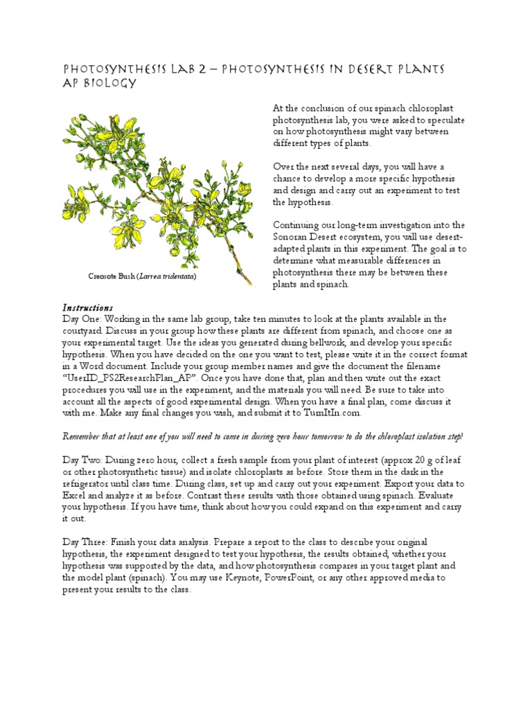 Photosynthesis Lab 2 - Photosynthesis in Desert Plants AP Biology | PDF ...