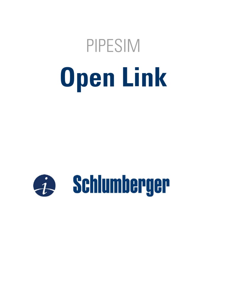 Pipesim Manual | PDF | Visual Basic For Applications | Microsoft Excel