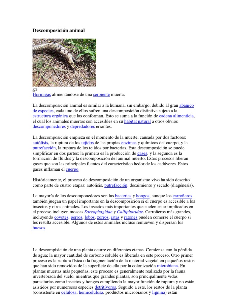 Descomposición Animal | PDF | Descomposición | Biología