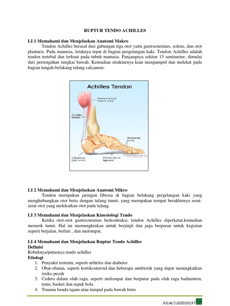 Ruptur Tendo Achilles | PDF