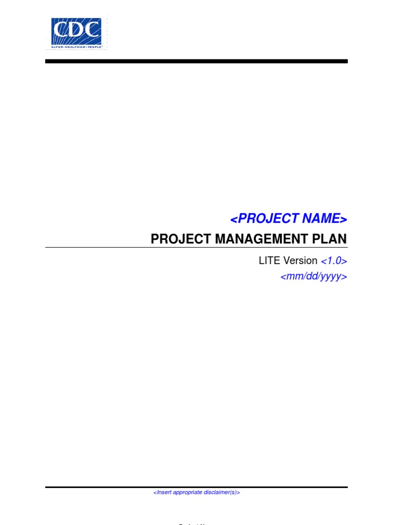 Project Management Plan - LITE Template | PDF | Project Management ...