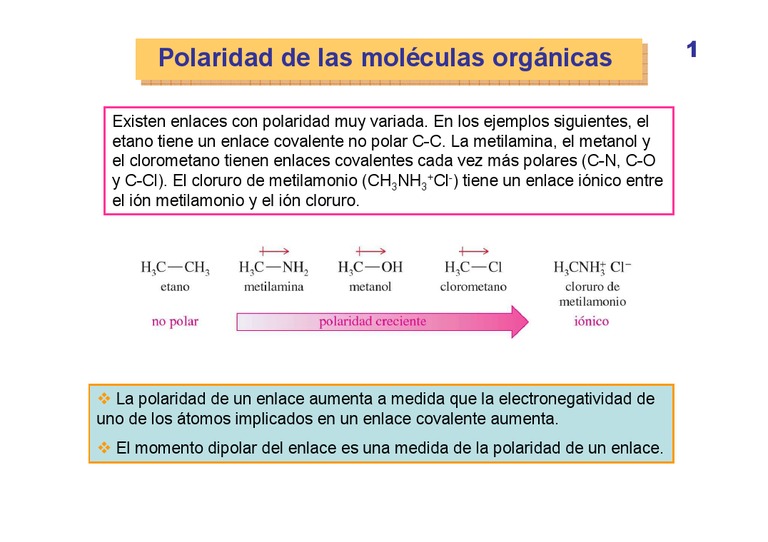 Polaridad de Las Moleculas Organicas | PDF