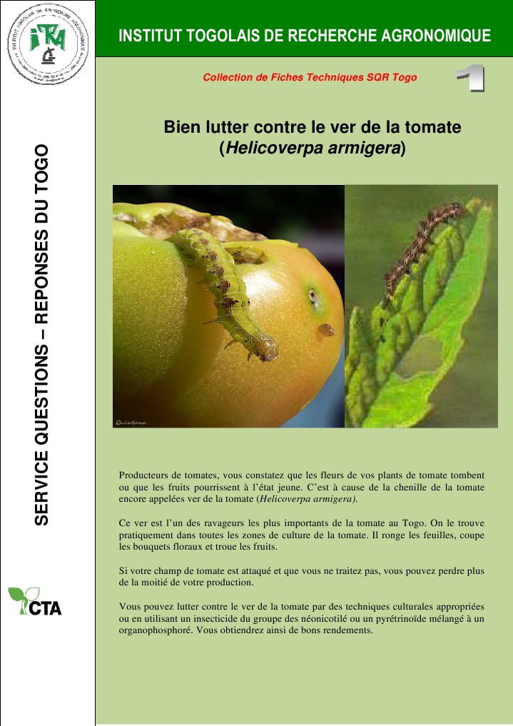 Fiche Technique Tomate SQR TOGO | PDF